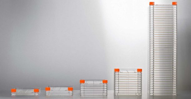 Gene Therapy Applications | Gene Therapy Products | Corning